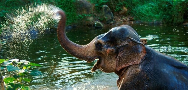 Tourist Places to Visit in Kanam, Kottayam, Kerala - MustVisitPlace.com
