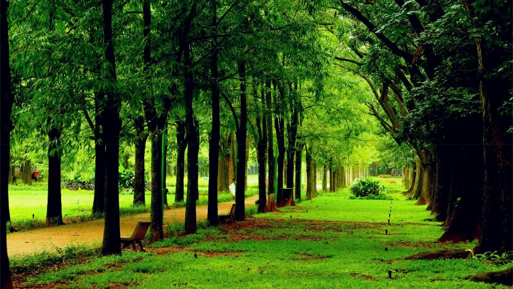 Cubbon Park, Bengaluru - Discovering the Green Gem of Bangalore: A ...